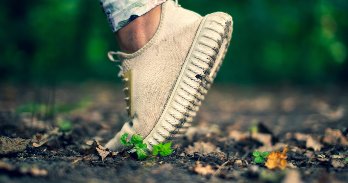 Celebrating the pillars of health: Phoebe Liebling on… | Detox Kitchen